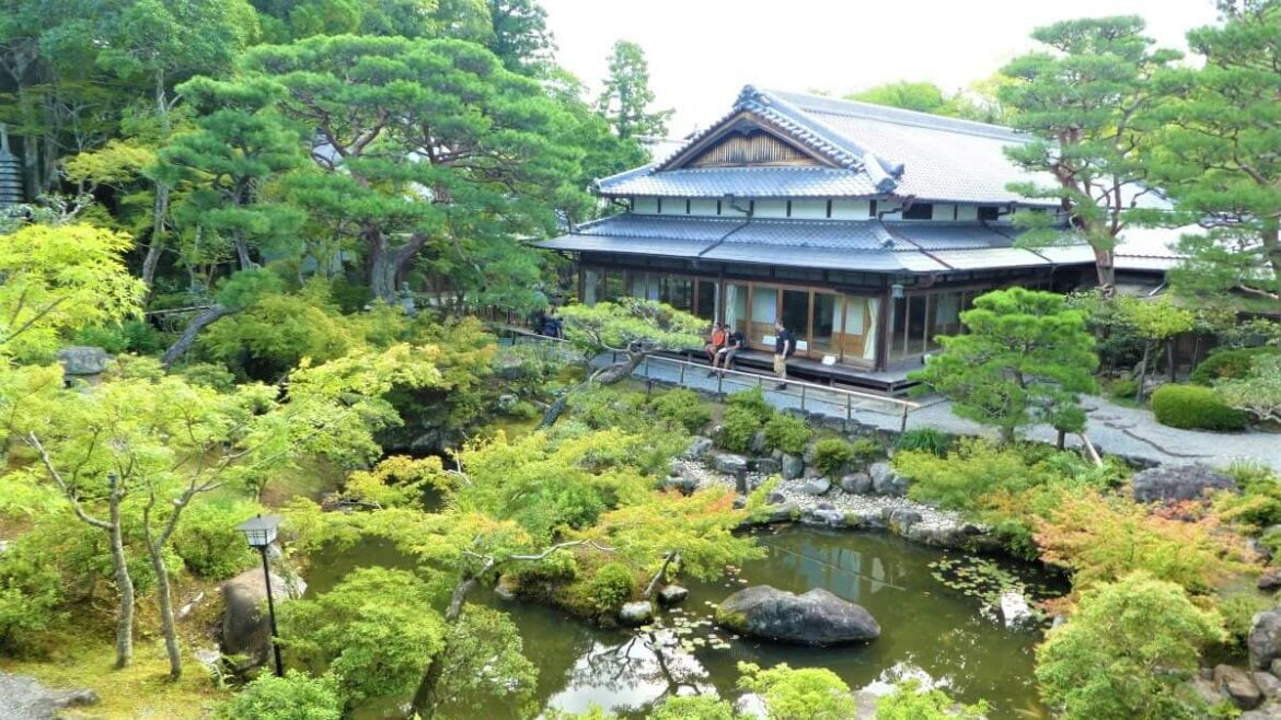 Nara, Japan - The Ultimate Travel Guide to History