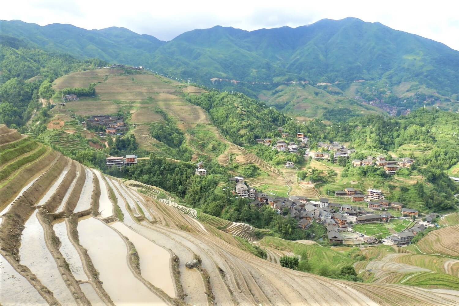 Longsheng Rice Fields | Explore Beautiful Rice Terraces in China