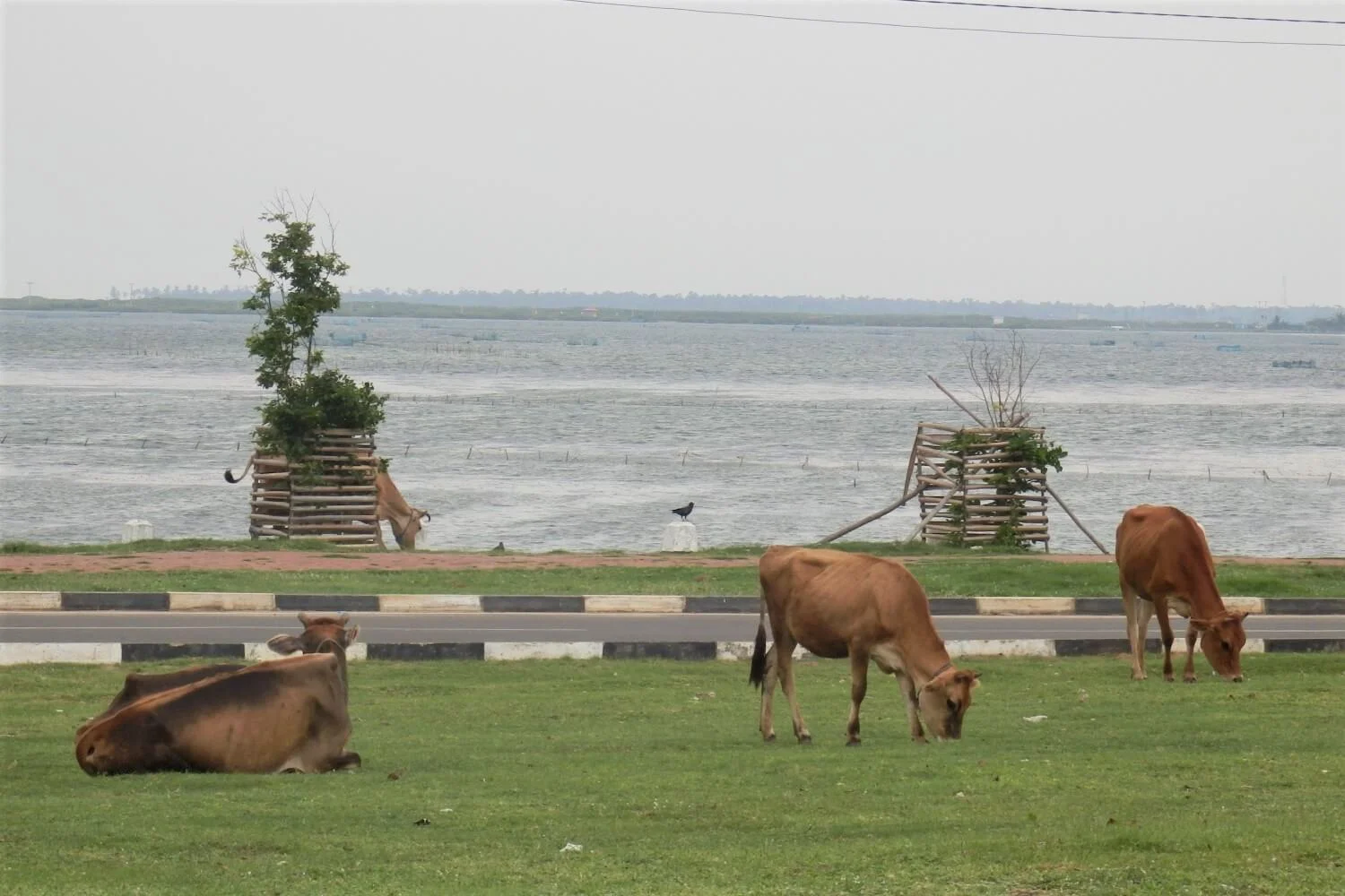Jaffna, Sri Lanka - The Ultimate Travel Guide to History