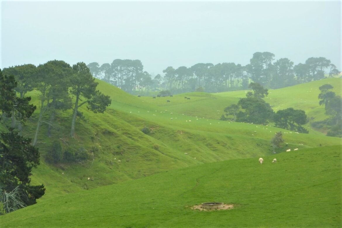 Hobbiton, Matamata | Visit the Shire from The Lord of the Rings